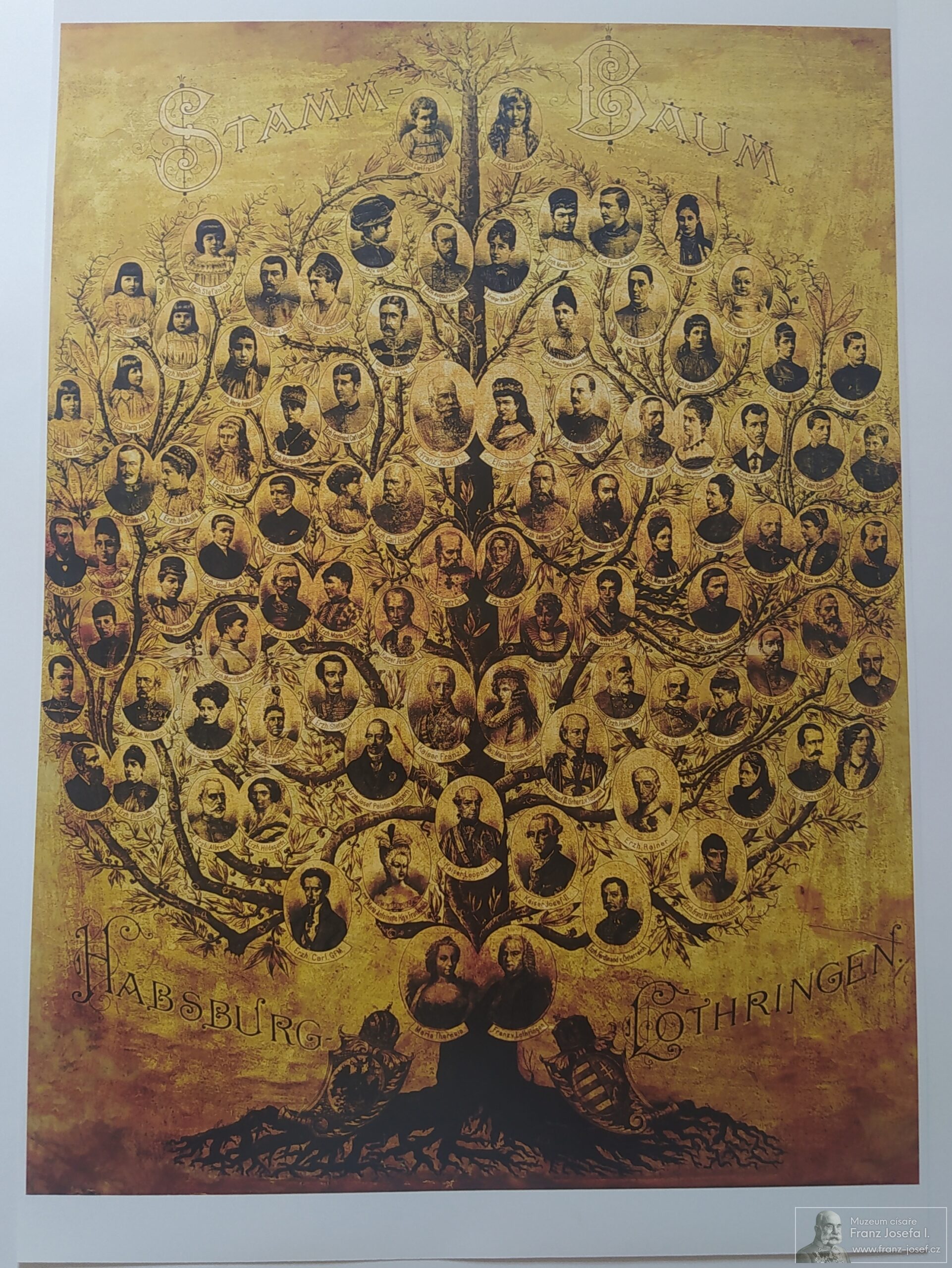 Habsburg- Lothringen- rodokmen, strom života — Prodej přebytků — Muzeum ...
